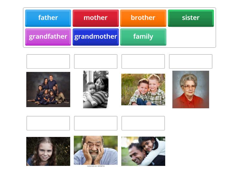 Family Members Matching Activity - Match up
