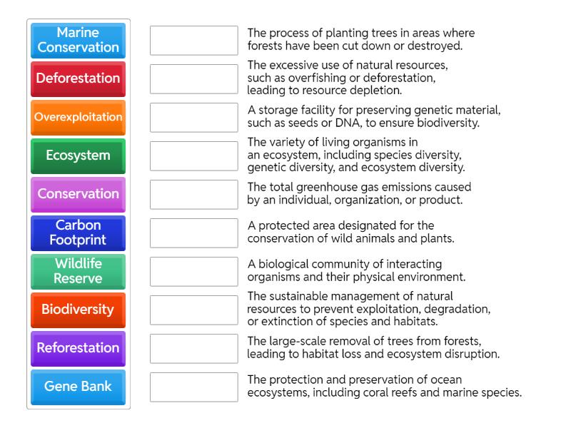 Conservation quiz - Match up