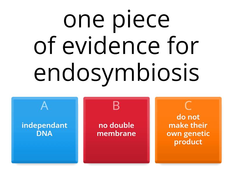 ENDOSYMBIOSIS - Quiz