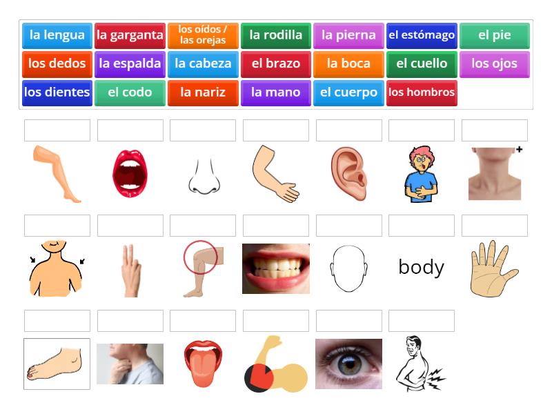 9_5_1 - El cuerpo - Match up