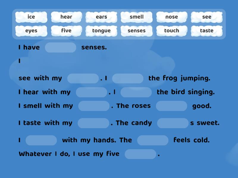 Five Senses - Complete the sentence