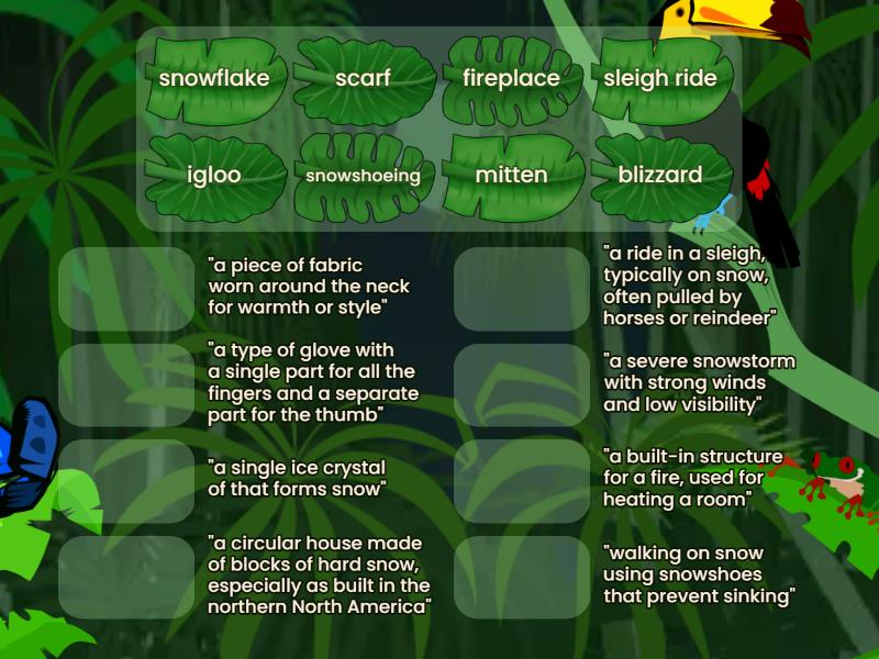 Guess the word based on its definition - Match up