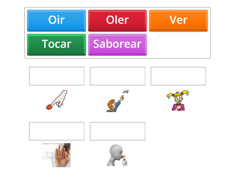 Verbos de acción - Match up