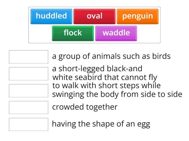 What's in the Egg, Little Pip Vocabulary - Match up
