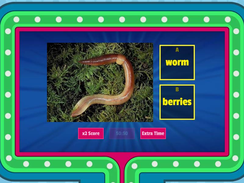 Unit 2 Vocabulary Words part 1 - Gameshow quiz