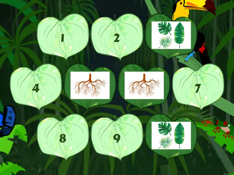 Parts of the plant - memory game - Matching pairs