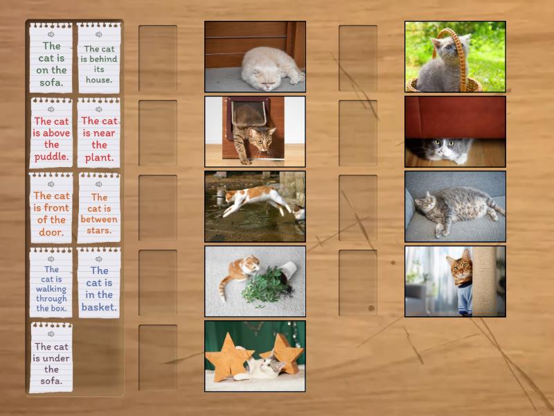 Prepositions of the place_Where is the cat? - Match up