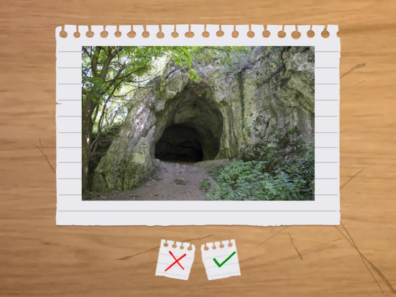 Unit 12 lesson vocab - Flash cards