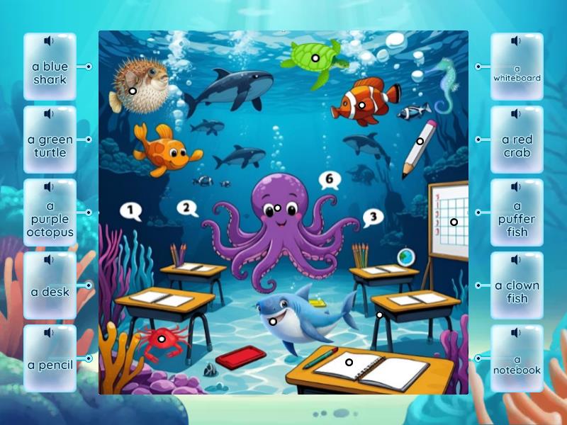 My underwater classroom - Labelled diagram