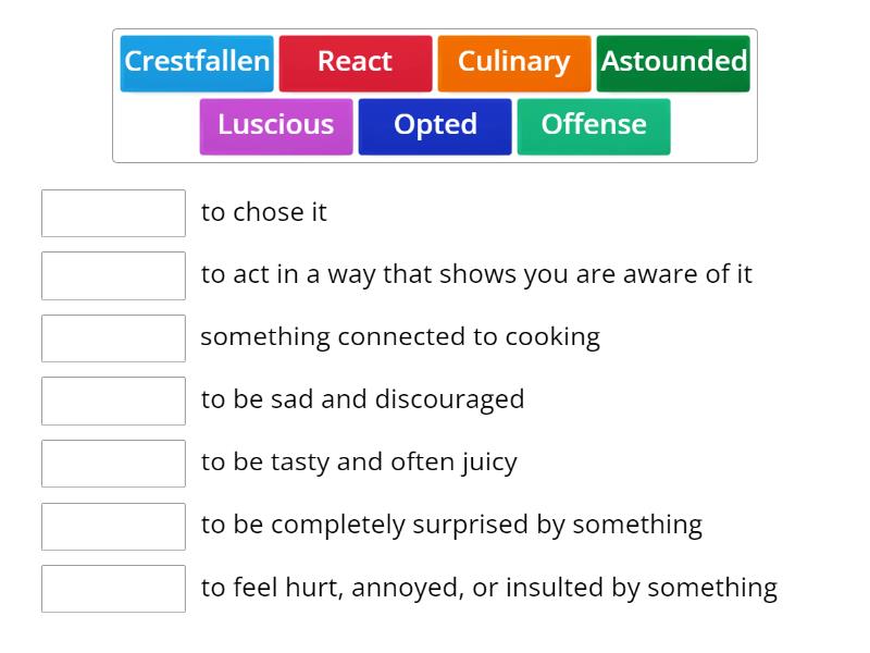 4th Grade Module 8 Week 3 Vocabulary - Match up