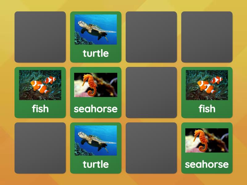 Ocean Animals - Matching pairs