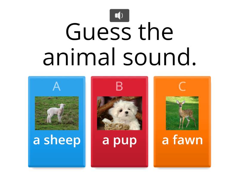 Animals Sounds - Quiz