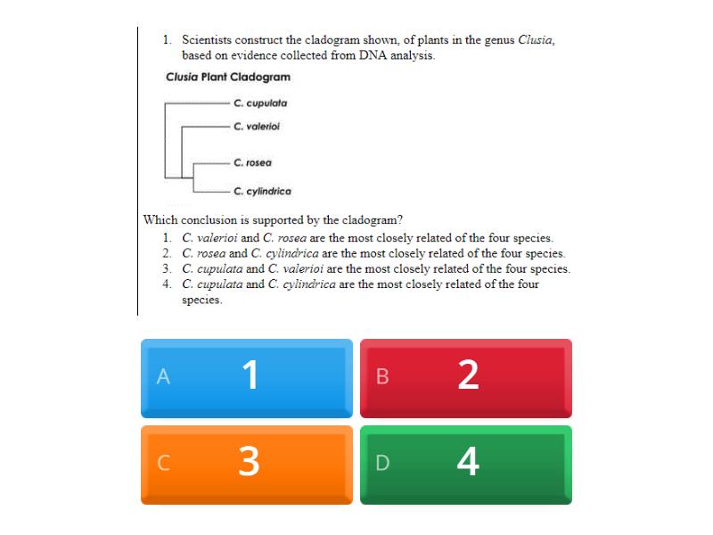 Phylogenetic Trees and Cladograms - Quiz