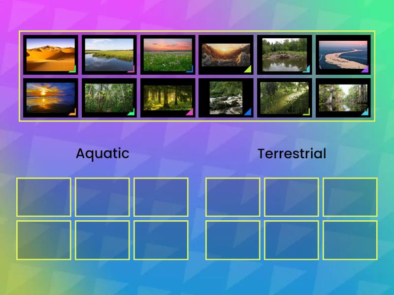 Aquatic or Terrestrial Ecosystem? - Group sort