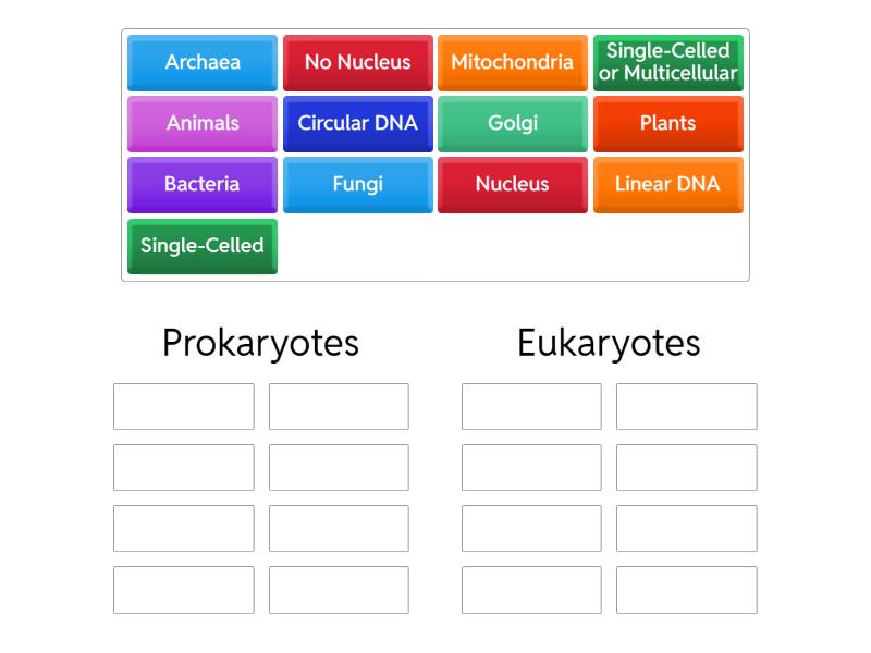 Prokaryotes Versus Eukaryotes - Group sort