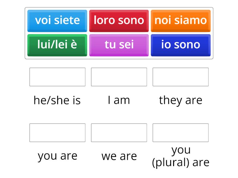 Personal Pronoun + Essere Practice - Match up