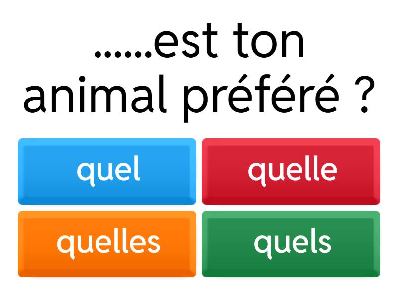2)Poser des questions "quel, quelle, quels, quelles" Ask questions What ...