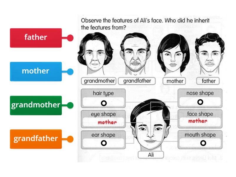 Inheritance-Let's Compare - Diagrama con etiquetas