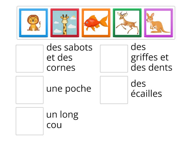 les parties du corps des animaux - Match up