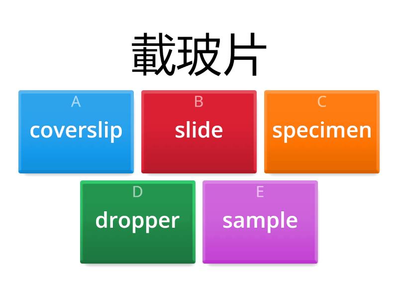 Preparing the wet mount slides - Cuestionario