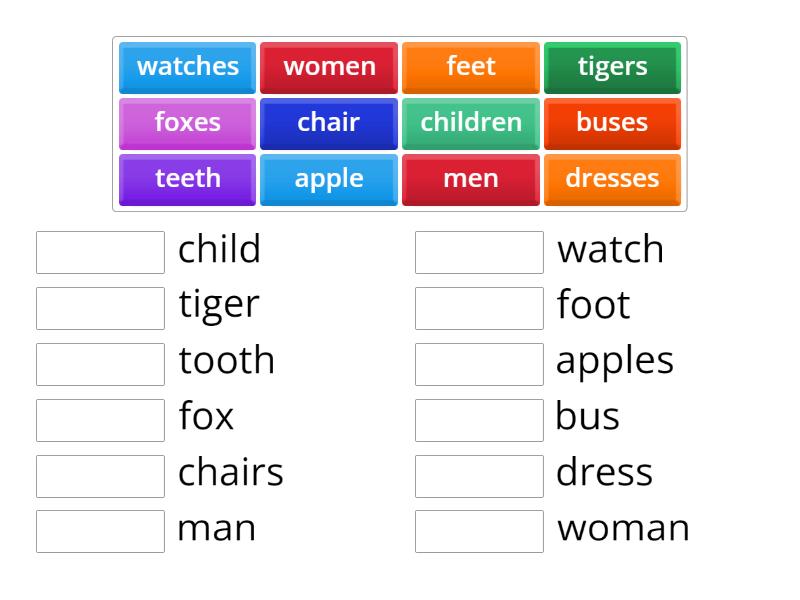 ACPB-J01-PLURAL NOUNS - Match up