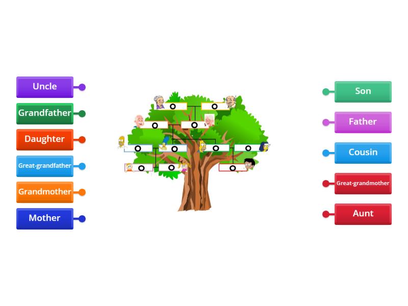Family tree - Labelled diagram