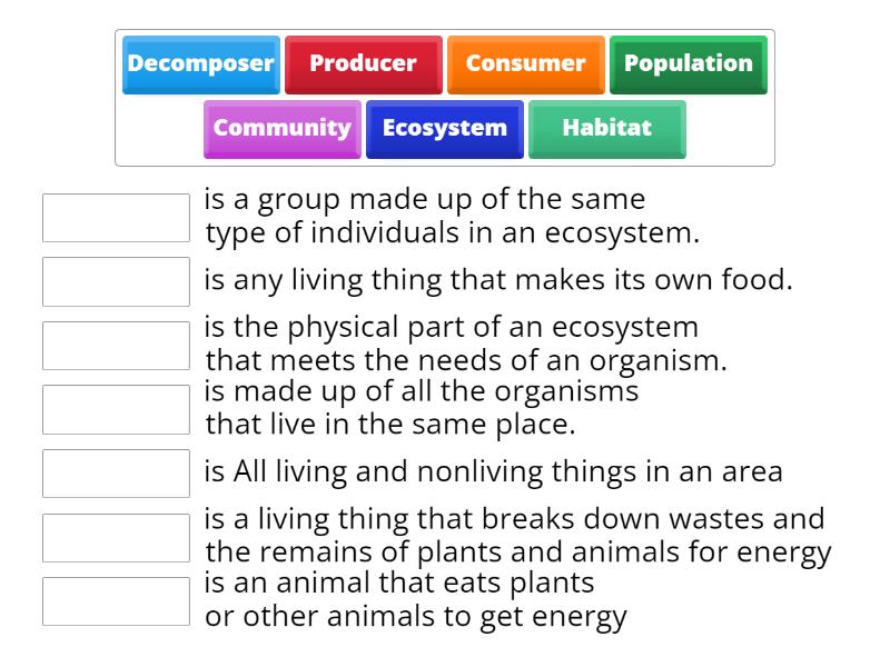 Ecosystem - Match up