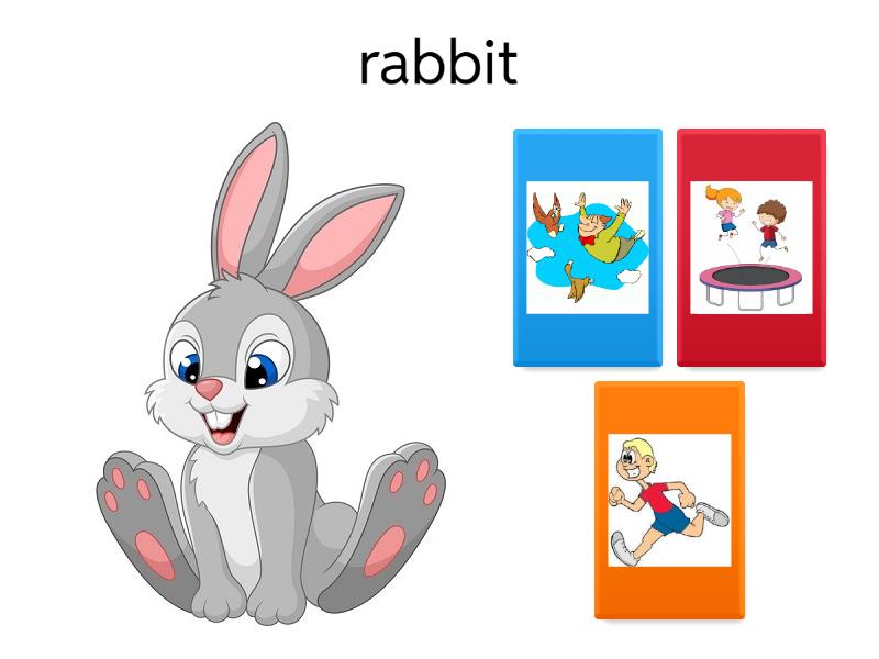 Animals can fly, swim, run, jump,climb - Quiz