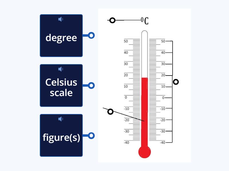 Label the parts of thermometer - Labelled diagram