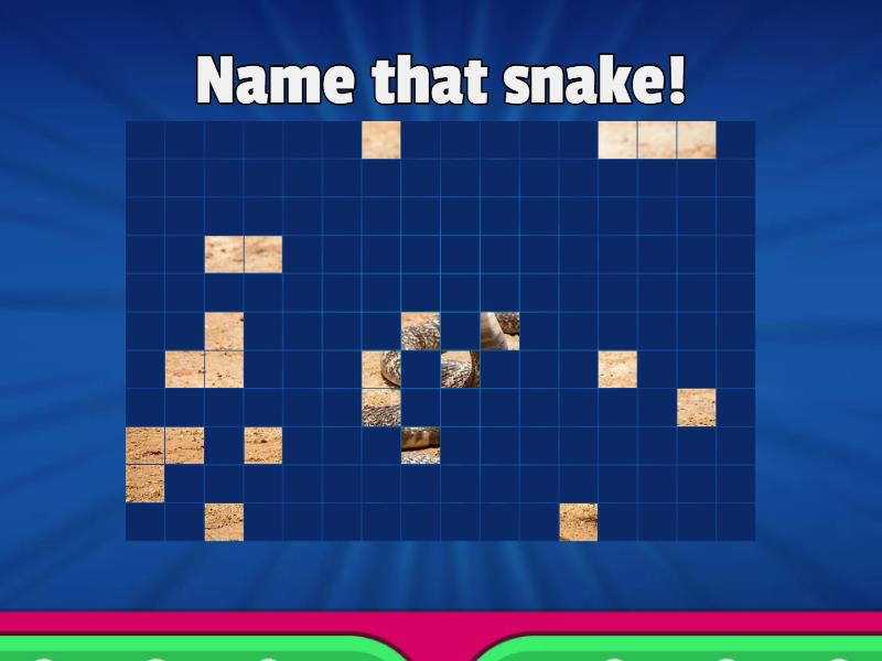 Snake Game - Image quiz