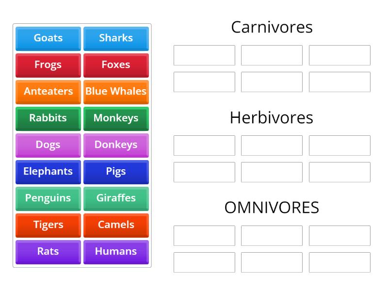 Herbivores, Carnivores and Omnivores - Group sort