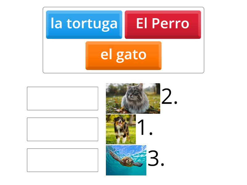 Spanish - Los Animales - Match up