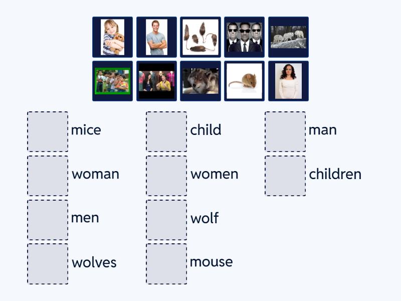 Irregular Plural Nouns - Match up