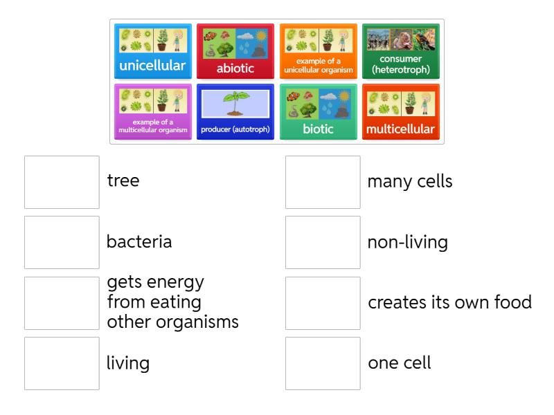 Characteristics of Life REVIEW - #1 Cells & #2 Needs Energy - Une las ...