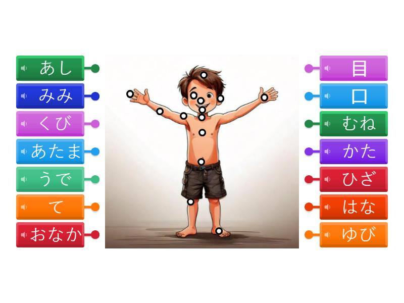 Parts of the body in Japanese - Labelled diagram