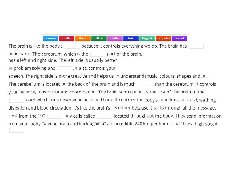 5.2 The amazing human brain - Complete the sentence