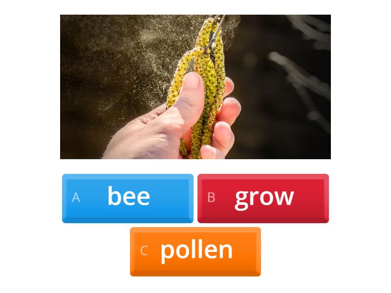 AS2 U8 reading words Part 1 - Cuestionario