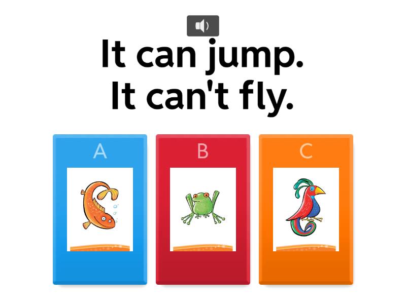 Animals Kid`s Box Starter (Unit 7) - Quiz