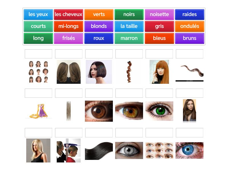 Les descriptions physiques - Match up