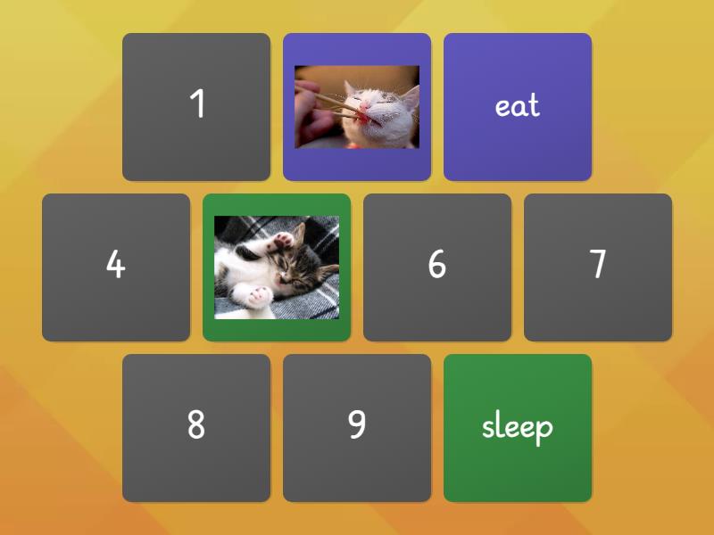 PU0 U8 actions - Matching pairs