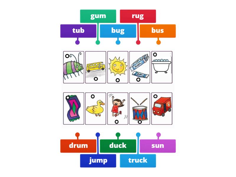 Phonics : short u - Labelled diagram