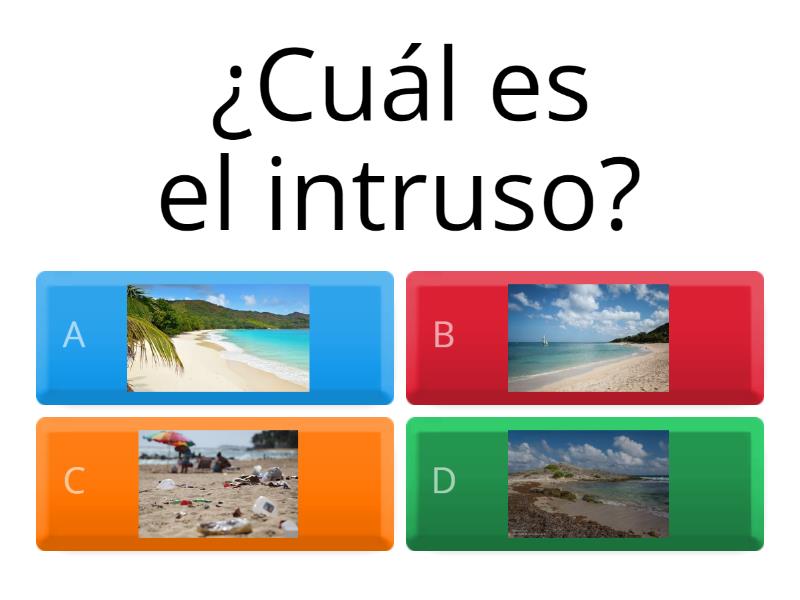 EL INTRUSO - Cuestionario