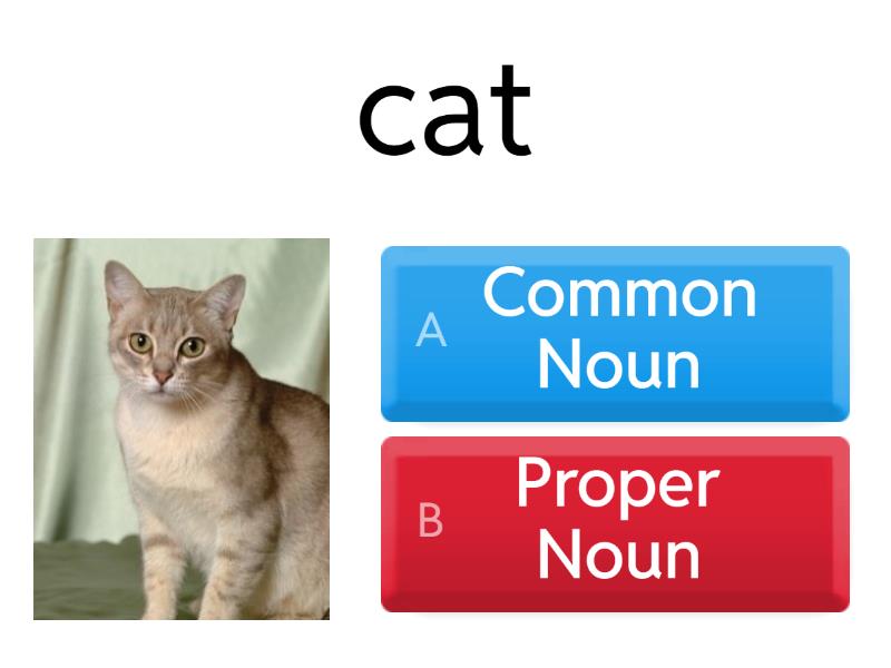 Assessment - Common Noun and Proper Noun - Quiz