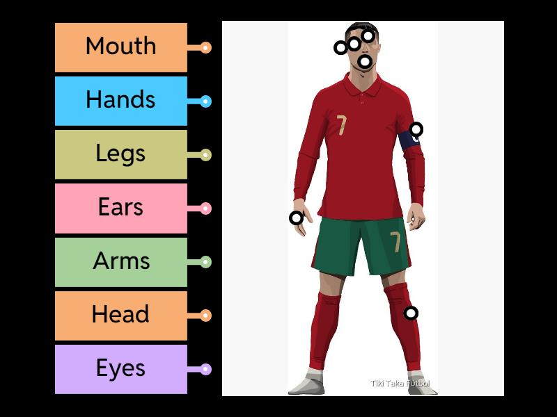 Ronaldo - Labelled diagram