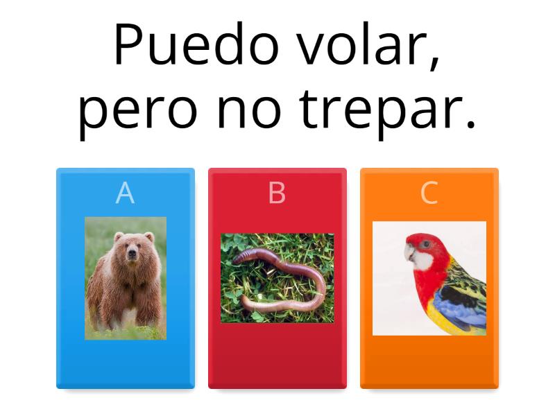 ¿Cómo se mueven los animales? - Quiz