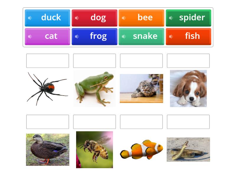 beehive 1 unit 4 - Match up