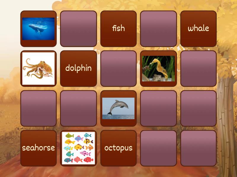 sea animals - Matching pairs