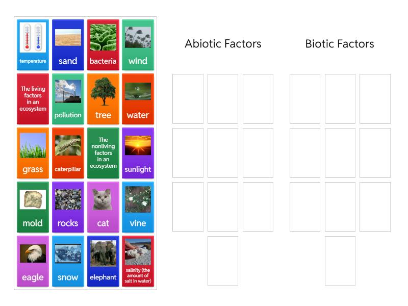 UNDERSTANDING ECOSYSTEMS - Abiotic vs Biotic Factors - Ordenar por grupo