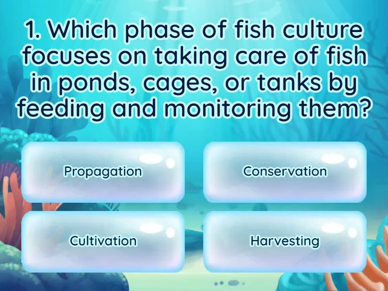 Evaluation. Phases of Fish Culture - Quiz