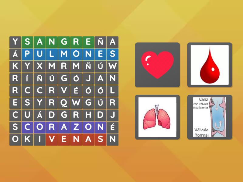 Sopa de letra del Sistema Circulatorio - Wordsearch